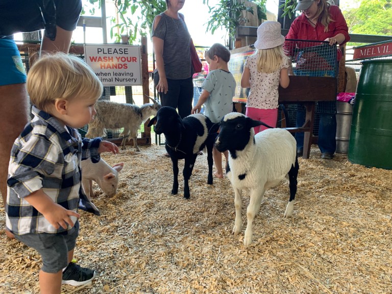 Mossman and District Show Society