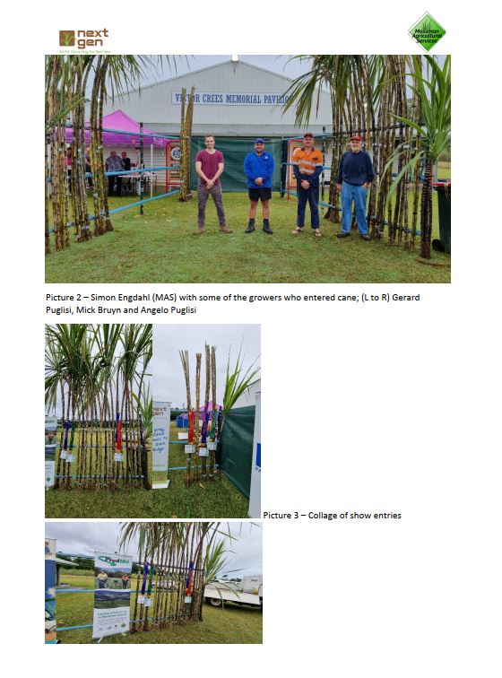SUGAR CANE DISPLAY WINNERS 2022! – Mossman and District Show Society