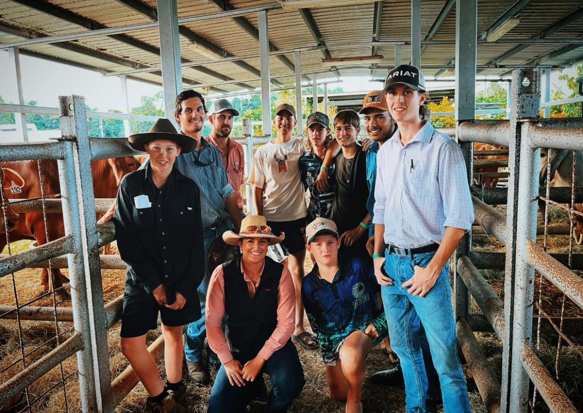 FAT CATTLE RESULTS – Mossman and District Show Society